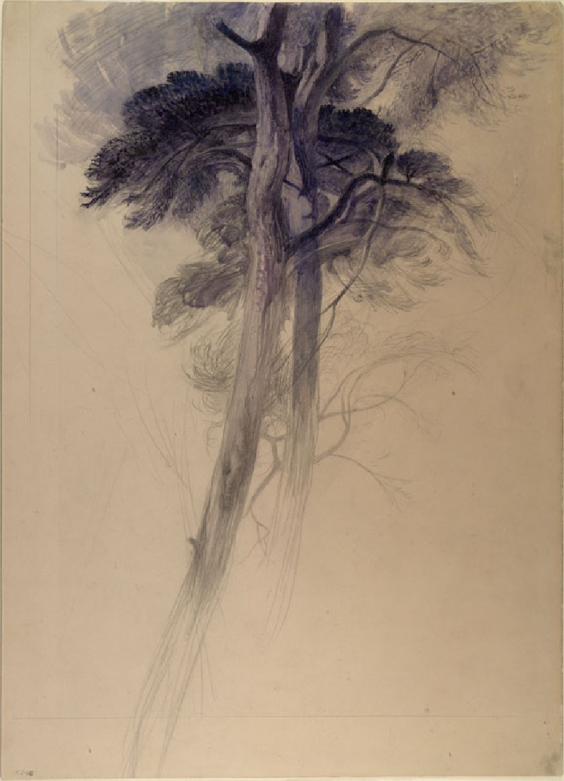 Ionarts: John Ruskin the Artist