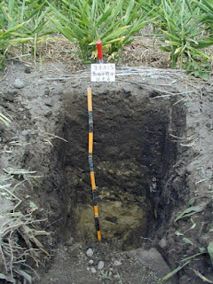 Sifat atau Ciri-ciri Tanah Andosol - RACHEVE