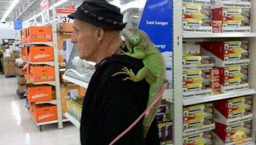 25 Hilarious Photos Of Some Crazy People Shopping At Wal-Mart | Qqriq