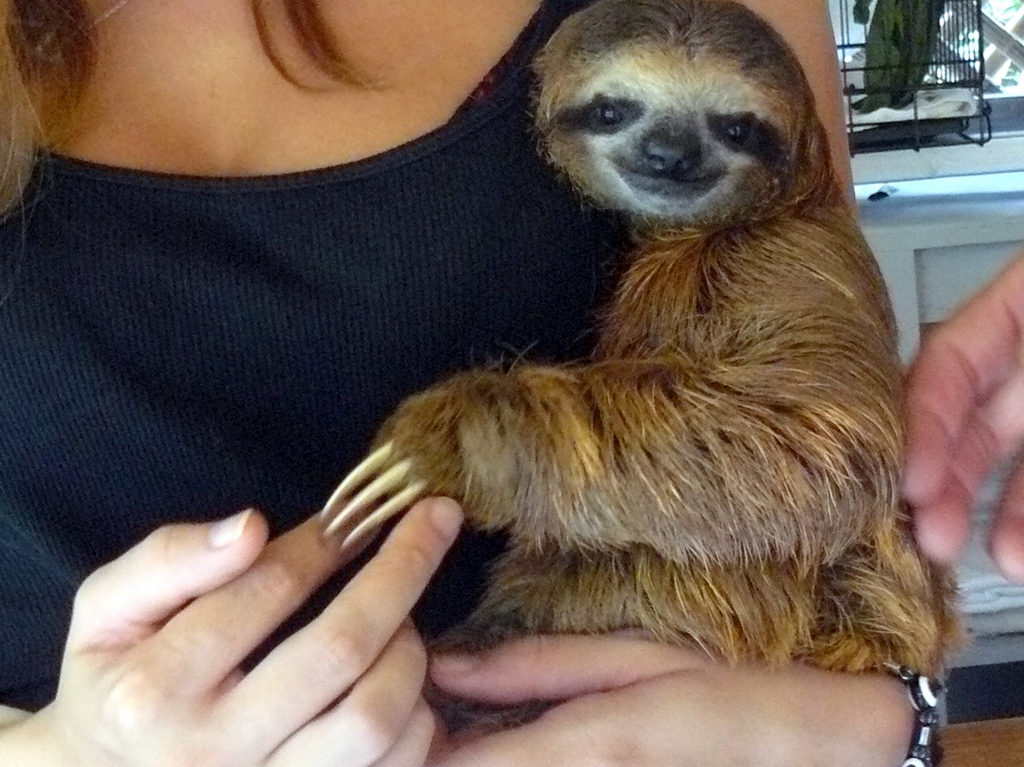 10-20-2013, 08:53 PM #2