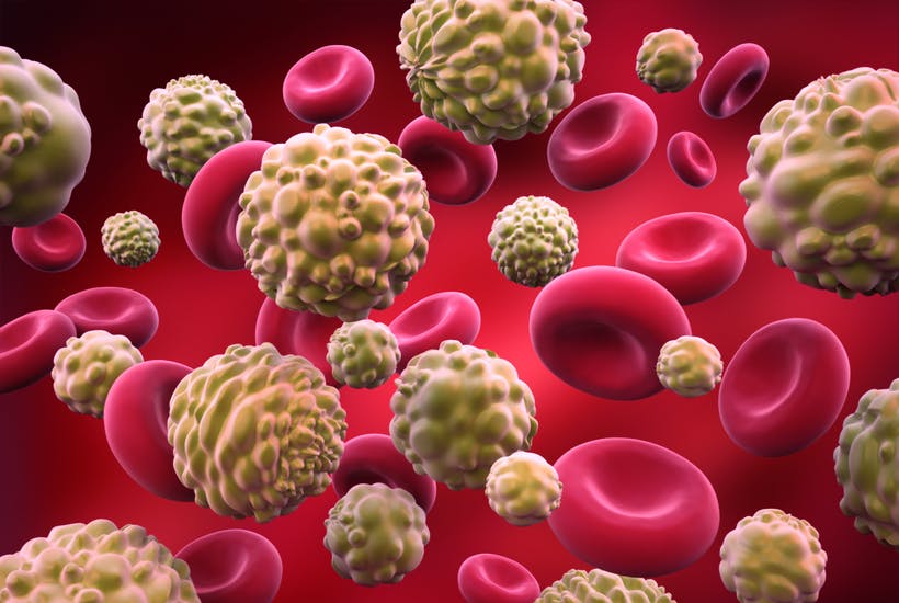 Boererate.com: Leukemie