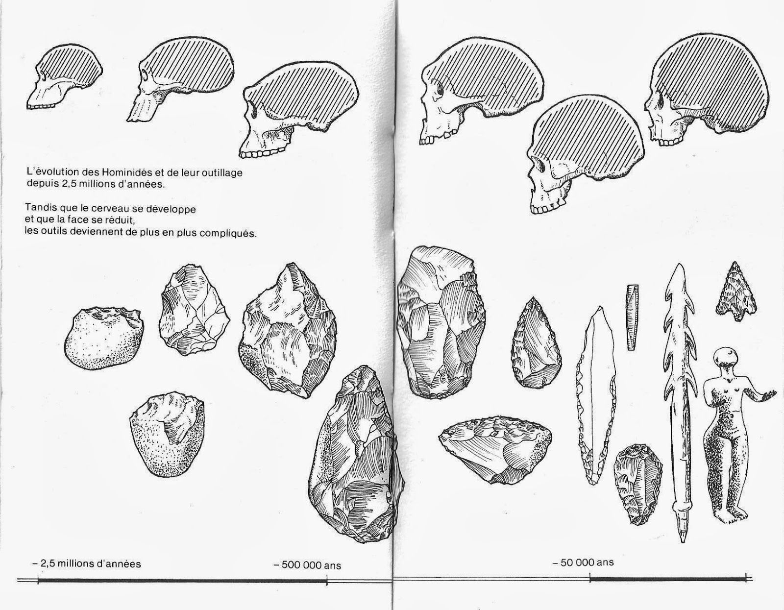Leçons de choses: Les premiers hommes (Jean-Jacques Hublin)