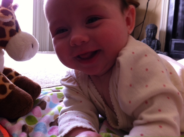 The Adventures of Nova: Novosaurus Rex