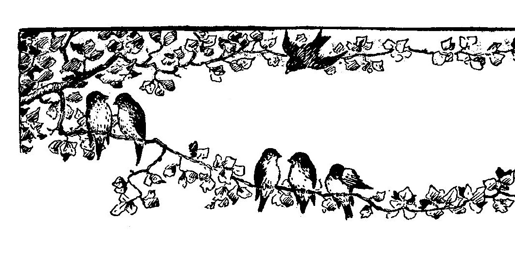 Digital Stamp Design: Border Design Download Perched Birds Spider Web ...