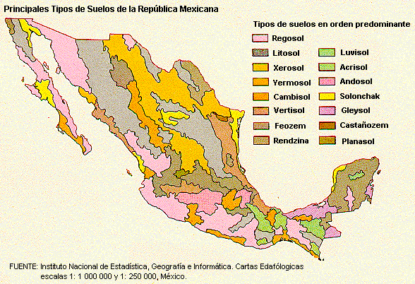 Citlali Reyes: ECOLOGY OF MEXICO 2014, BY CITLALI REYES