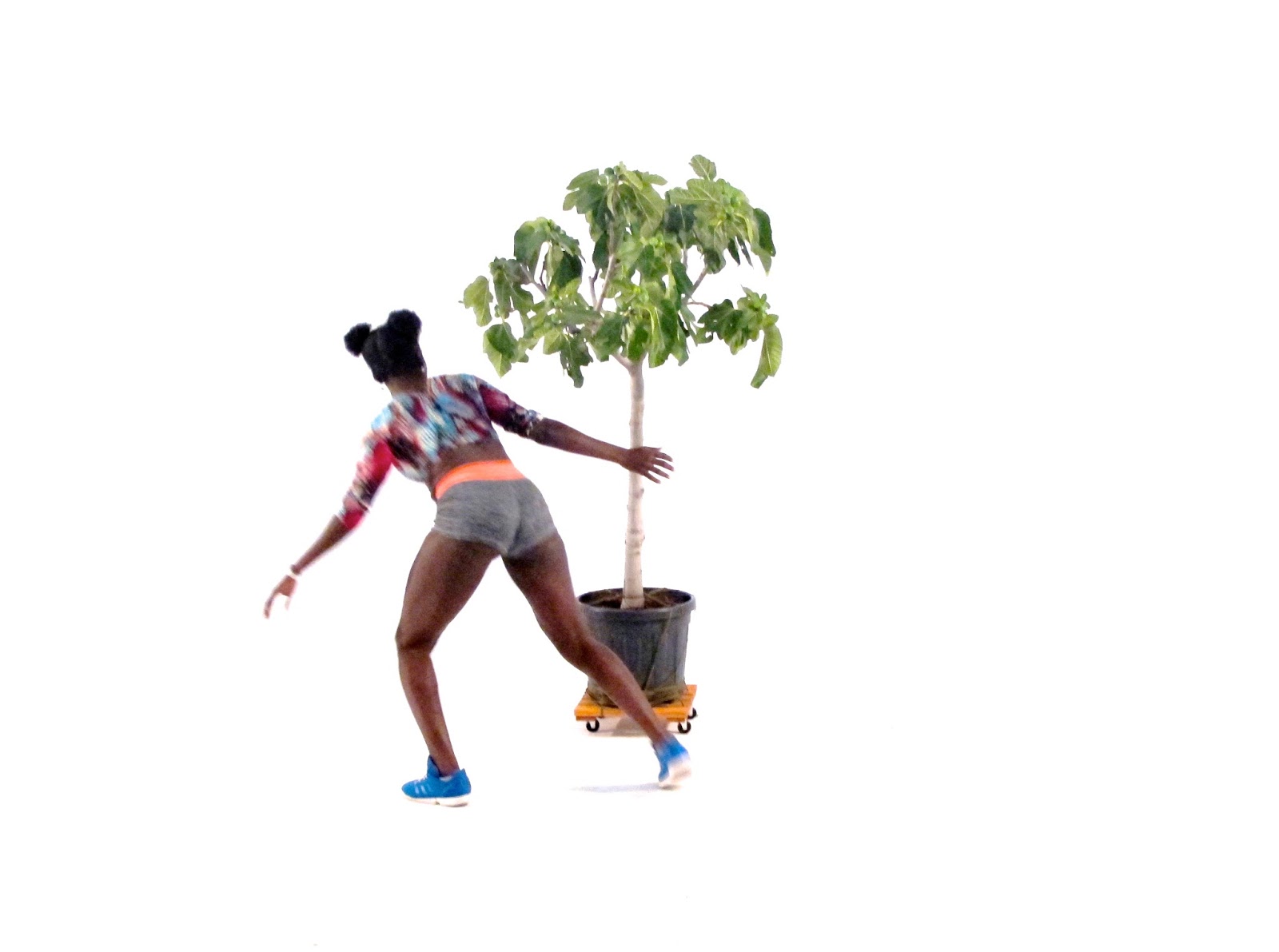 BI-HEMISPHERIC ART INNOVATION: TREE TWERK - BIONIC DANCE ( BIO-SENSITIVE )
