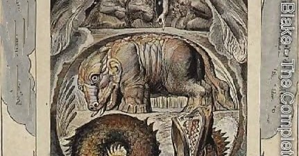 Las preguntas de Dios.: Behemot, obra maestra de Dios #Día 88.