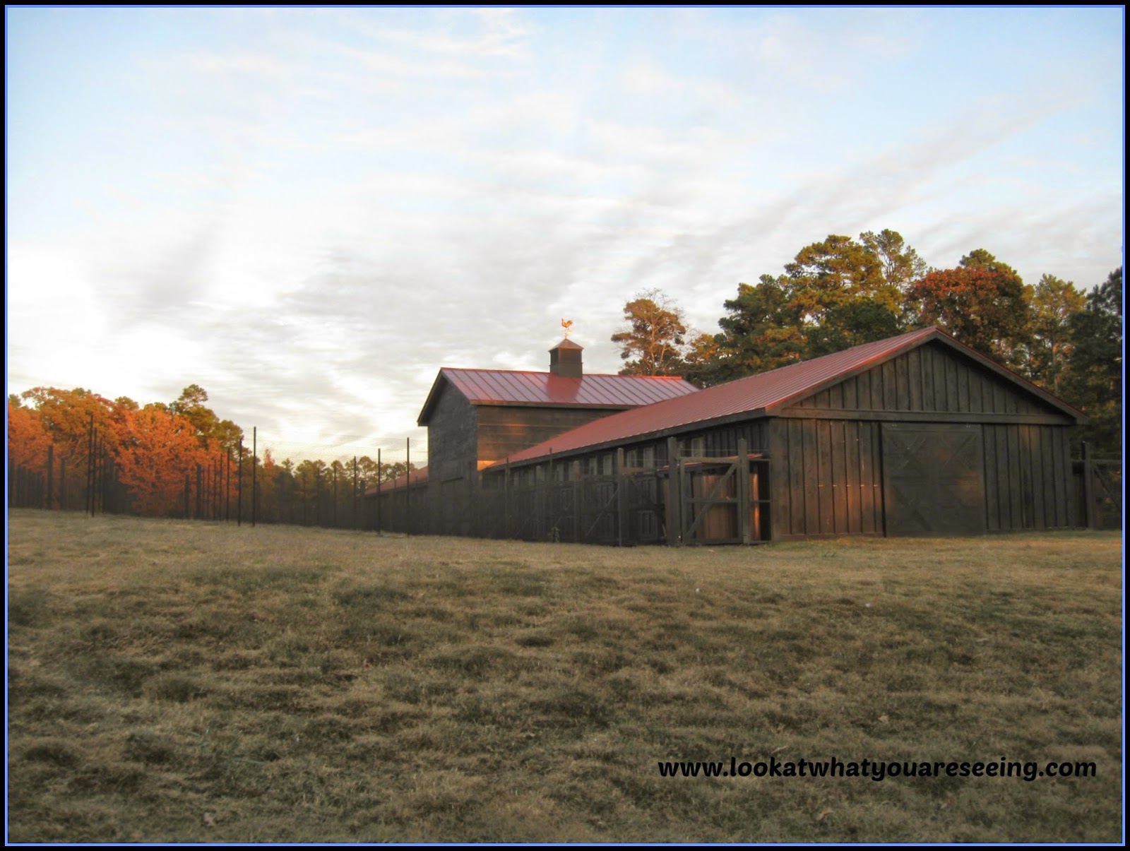 Look At What You Are Seeing: A Day At Moss Mountain Farm