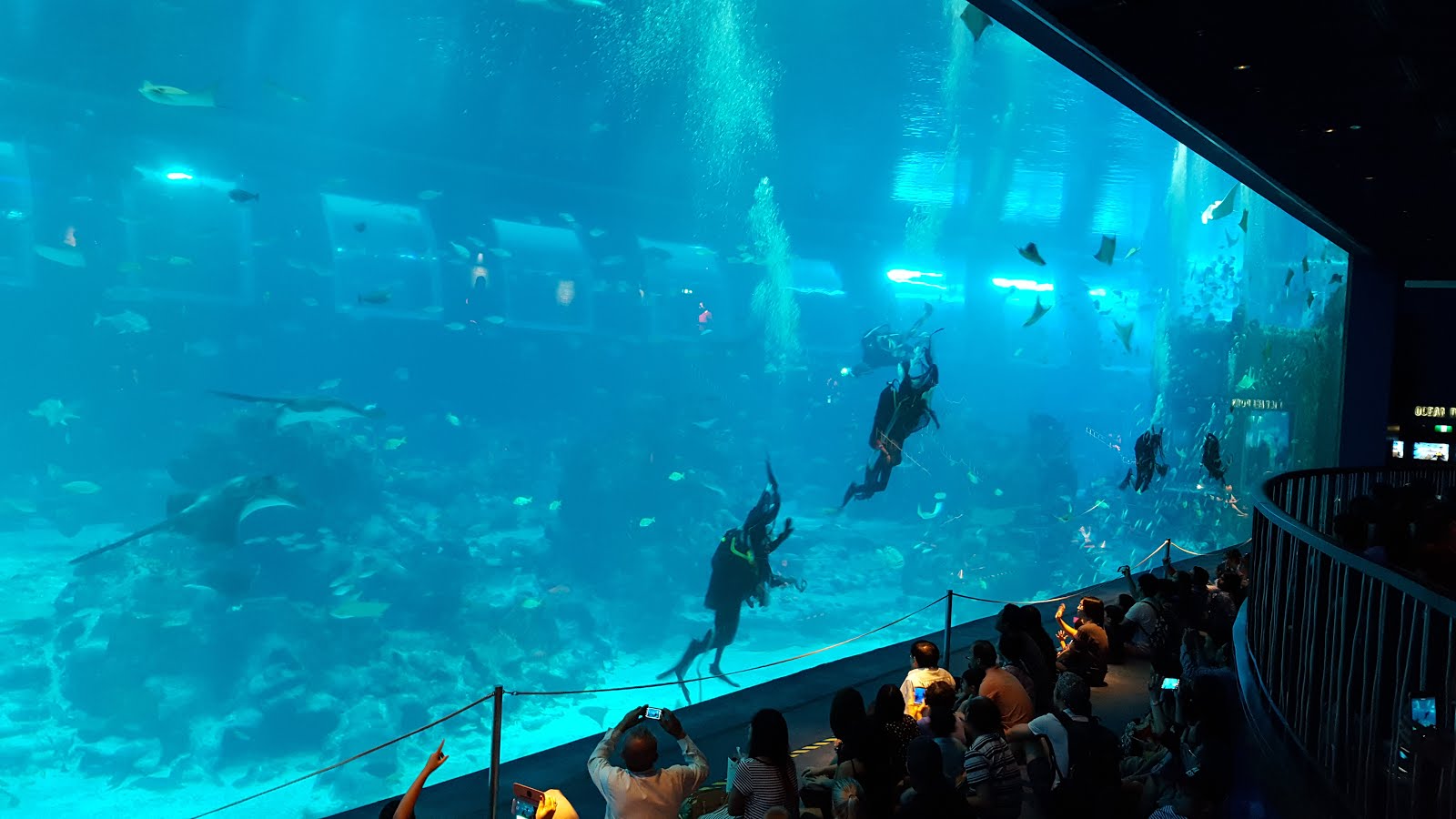S.E.A. AQUARIUM Resorts World Sentosa
