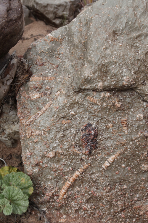 Earthly Musings - My Travel and Geology Blog: Rafting and Hiking in ...