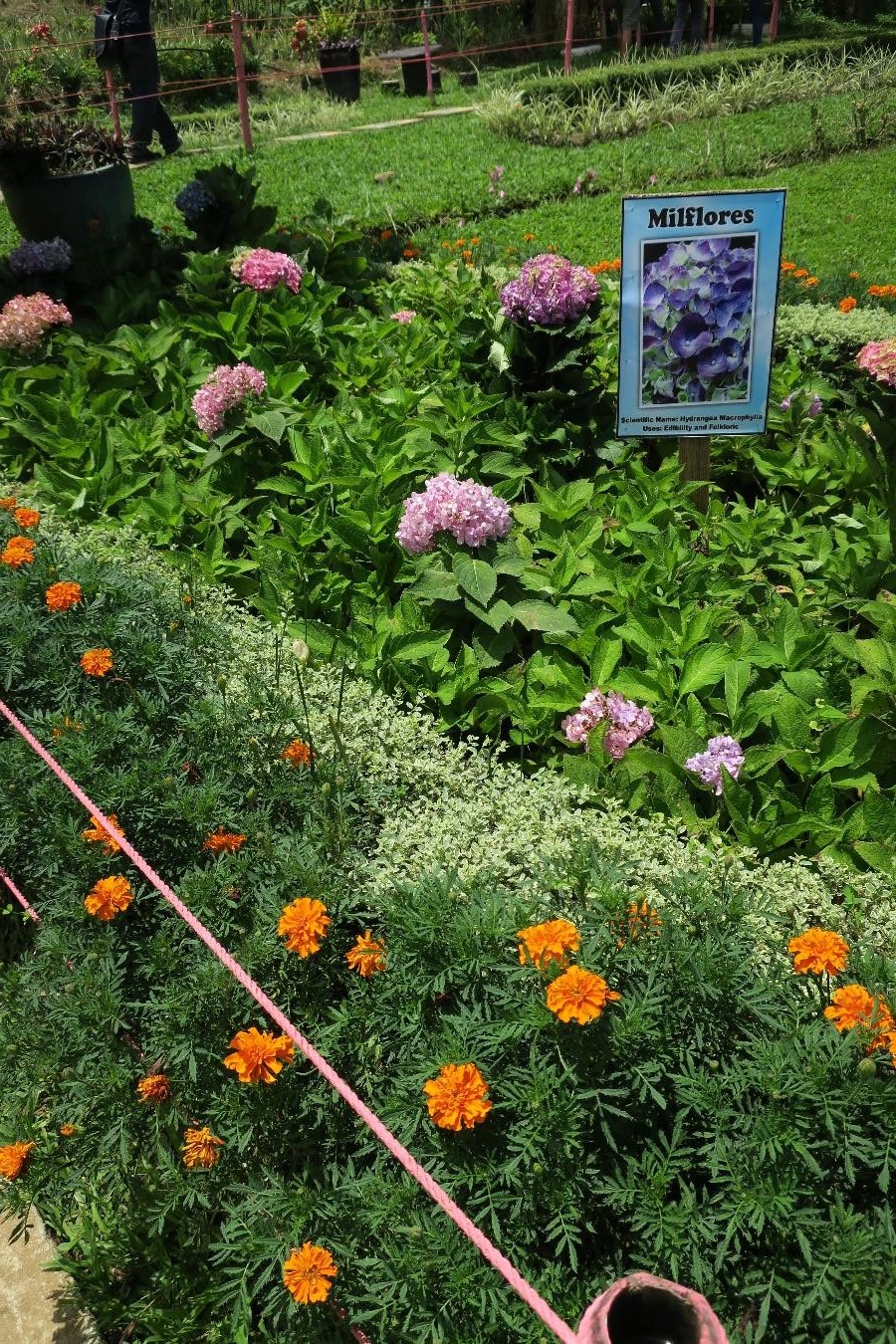 Philippine Farm Tours in Tagaytay & Bulacan - Philippine Flight Network