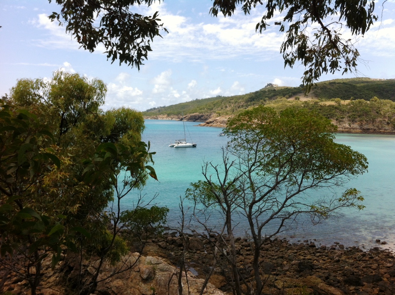 Dreamtime Sail: Middle Percy Island – The cruiser’s Great Barrier Reef ...