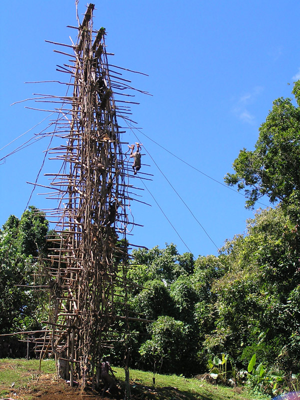 pascal-photos: Nangol or Land diving
