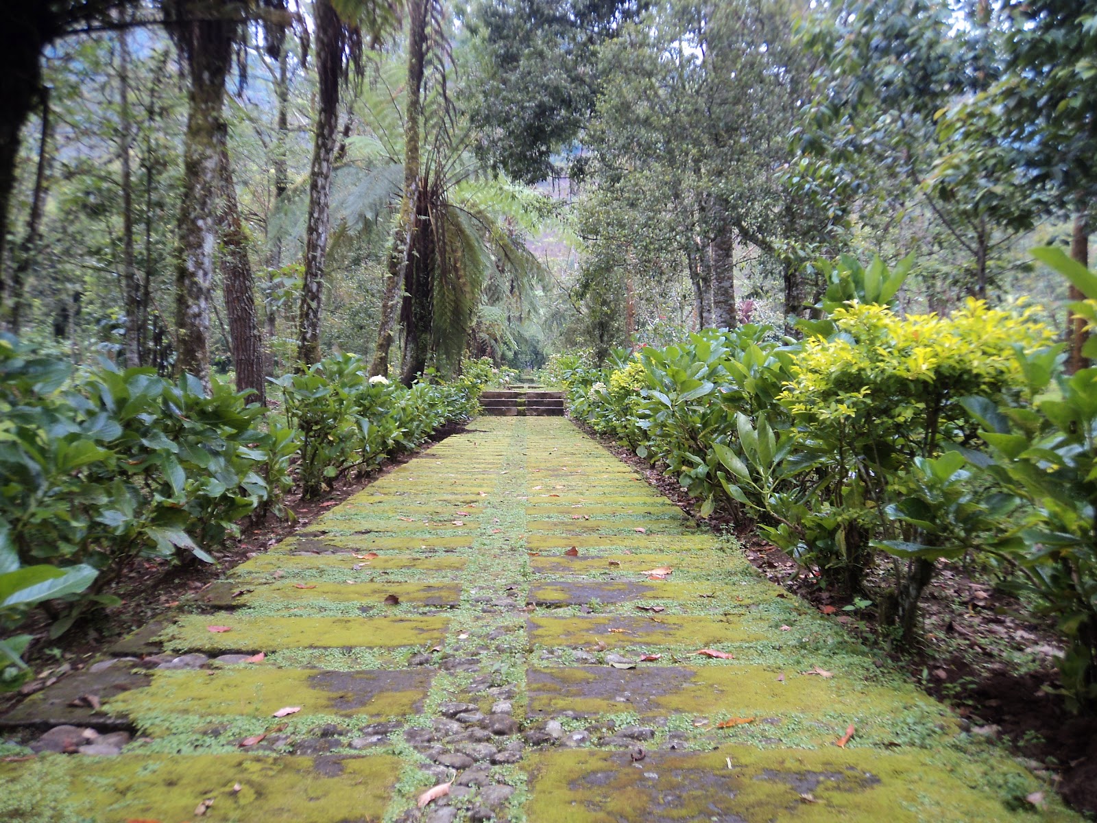Desa wisata "sumber brantas"