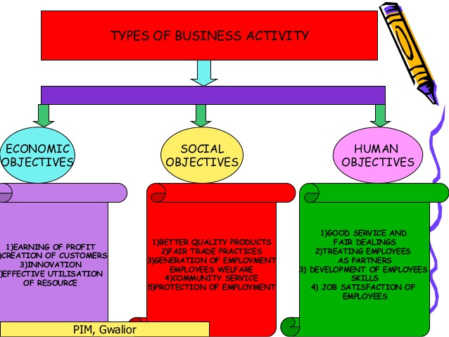 Management&Business: Types of business activity