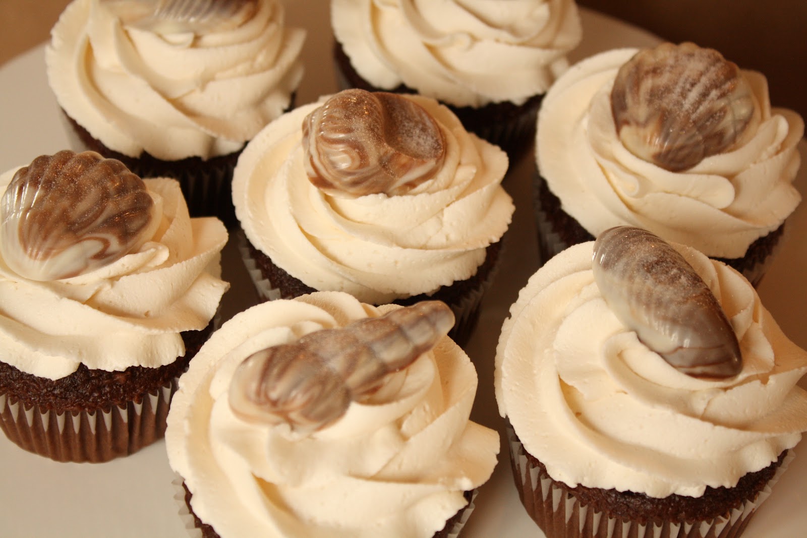 Kake: Chocolate Seashell Cupcakes