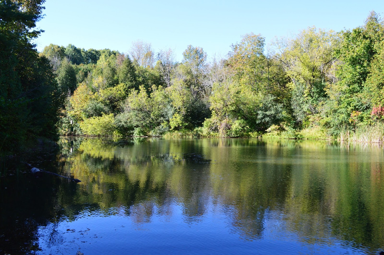 Mothering with Mindfulness : Three Days, Three Hikes, and A Picnic