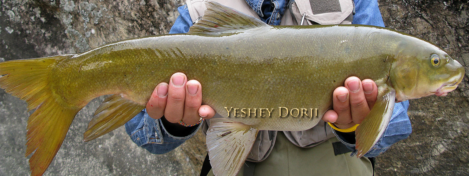 Bhutan Land Of The Thunder Dragon: Fishless in Punakha