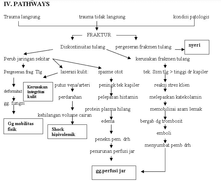 PATOFLOW: PATOFLOW FRAKTUR CRURIS