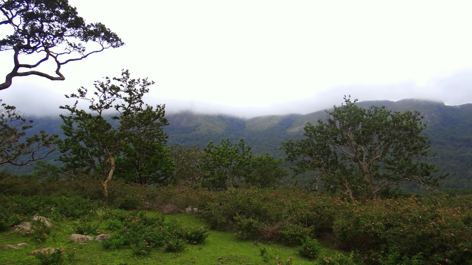 Sathyamangalam Tiger Reserve and Germalam Trek