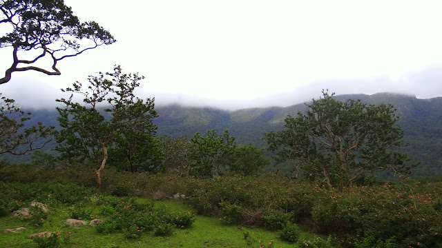 Sathyamangalam Tiger Reserve and Germalam Trek