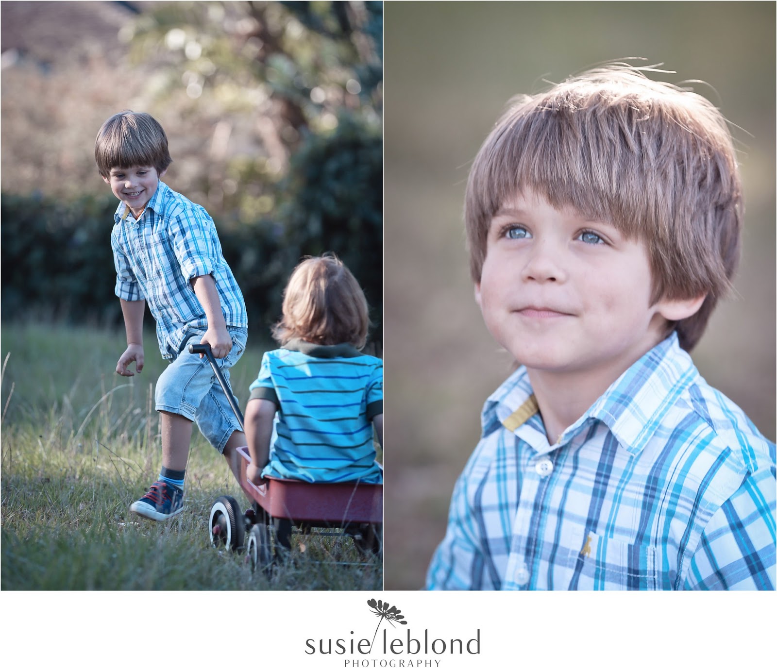 susie leblond photography: Hardiman Family