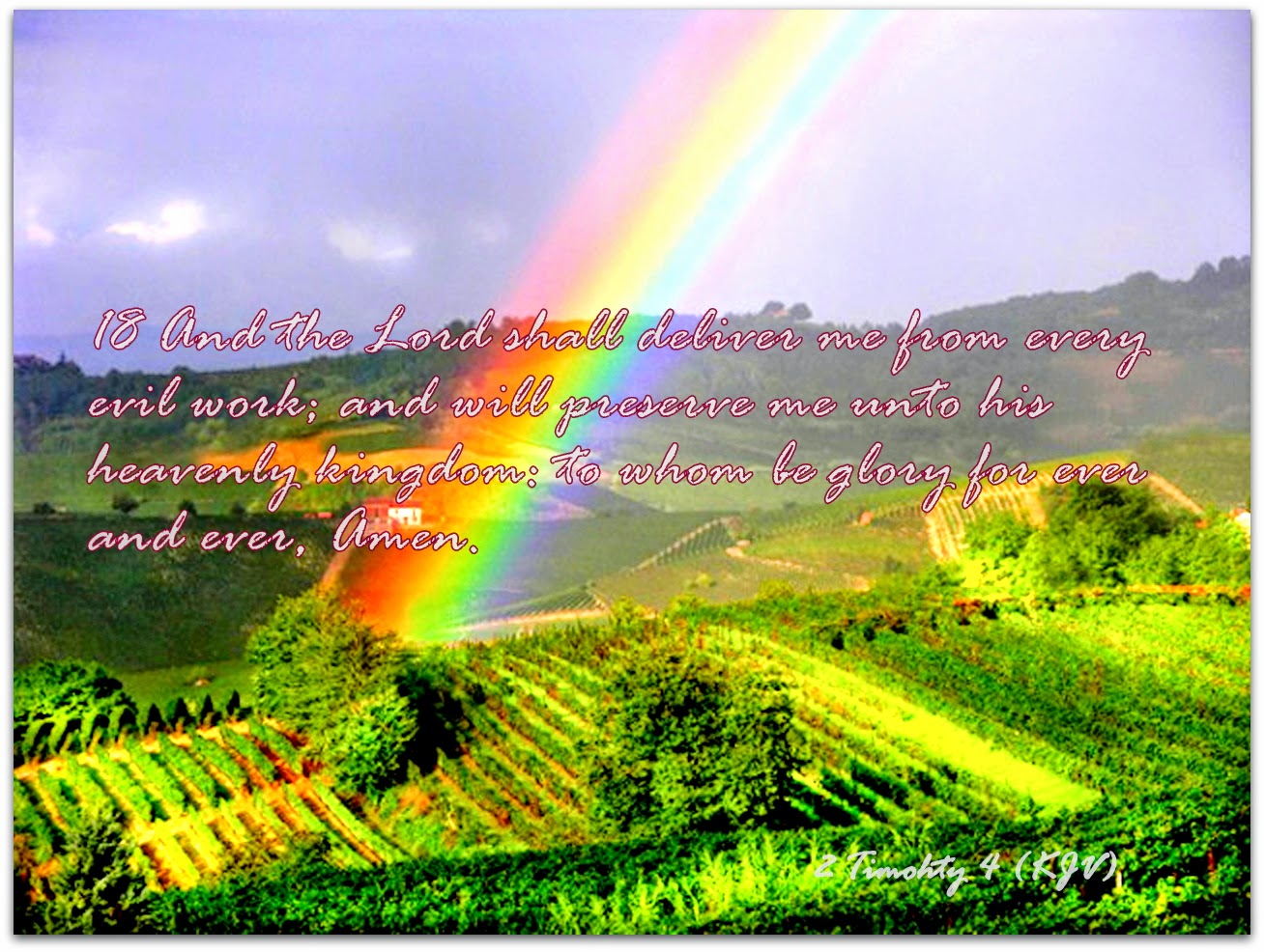 Red Pill Diaries: 2 Timothy 4 (KJV)