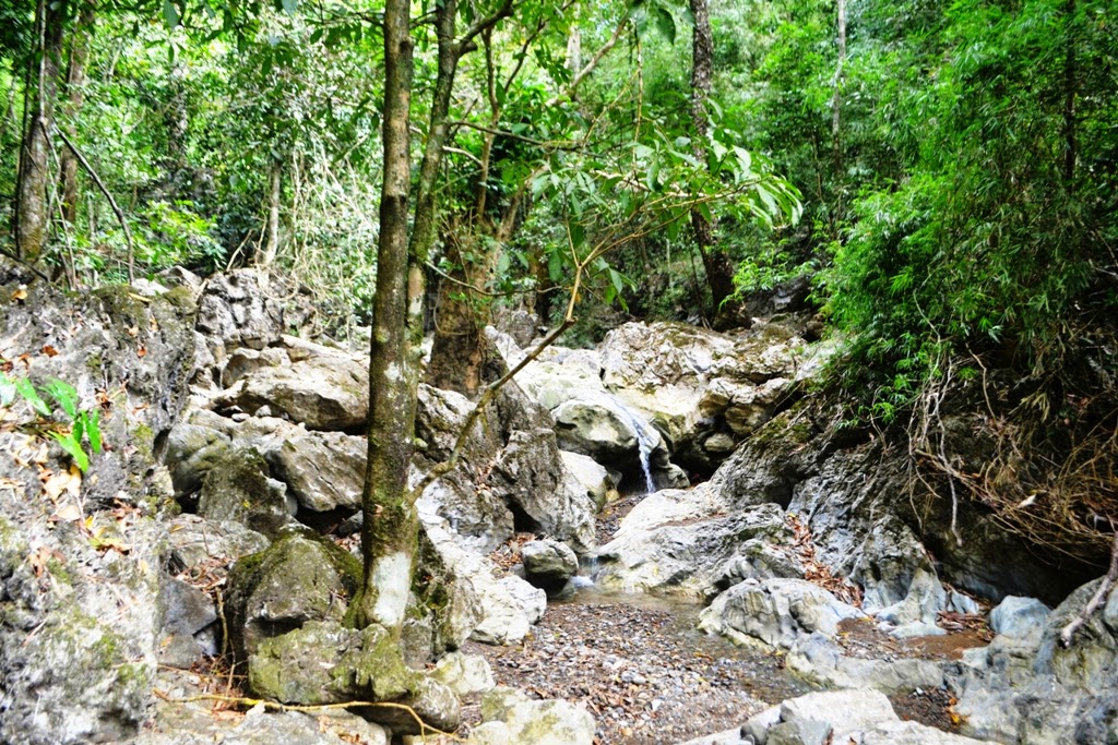 The Dr. & Mrs. Fun & anything under the Sun: PALO ALTO FALLS and PARK ...