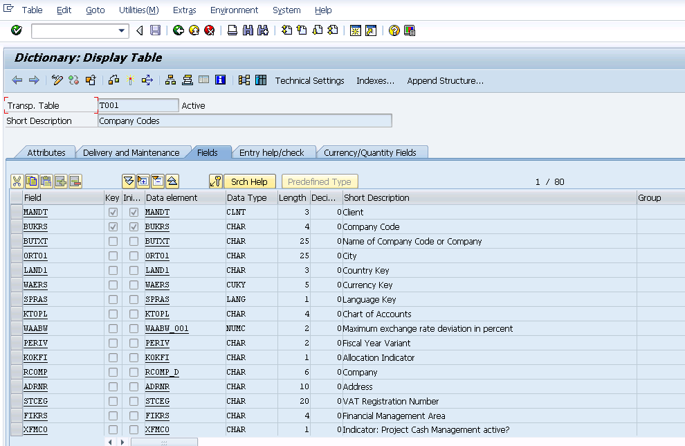 SAP TECH: Maintenance Views