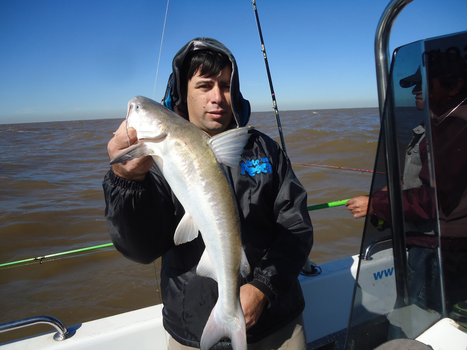 El Renegado Pesca en Berisso "Guia de Pesca Profesional": Bagres de Mar ...