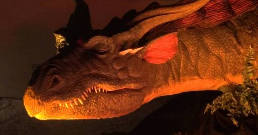 Βρέθηκε απολιθωμένος δράκος σε πόλη της Κίνας; (φωτό) - ΠΙΣΩ ΑΠΟ ΤΗΝ ...