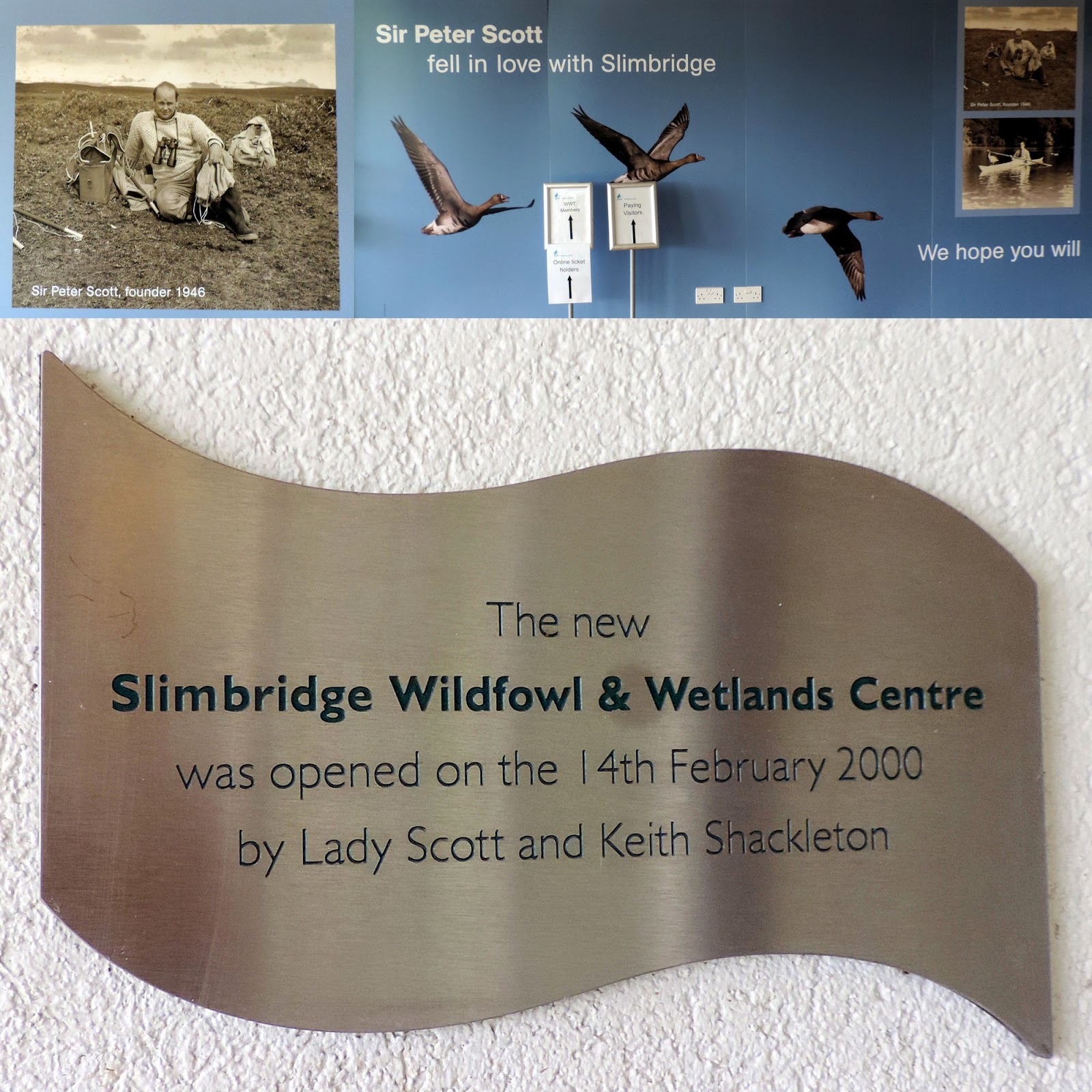 The Glebe Blog: Slimbridge Wetland Centre