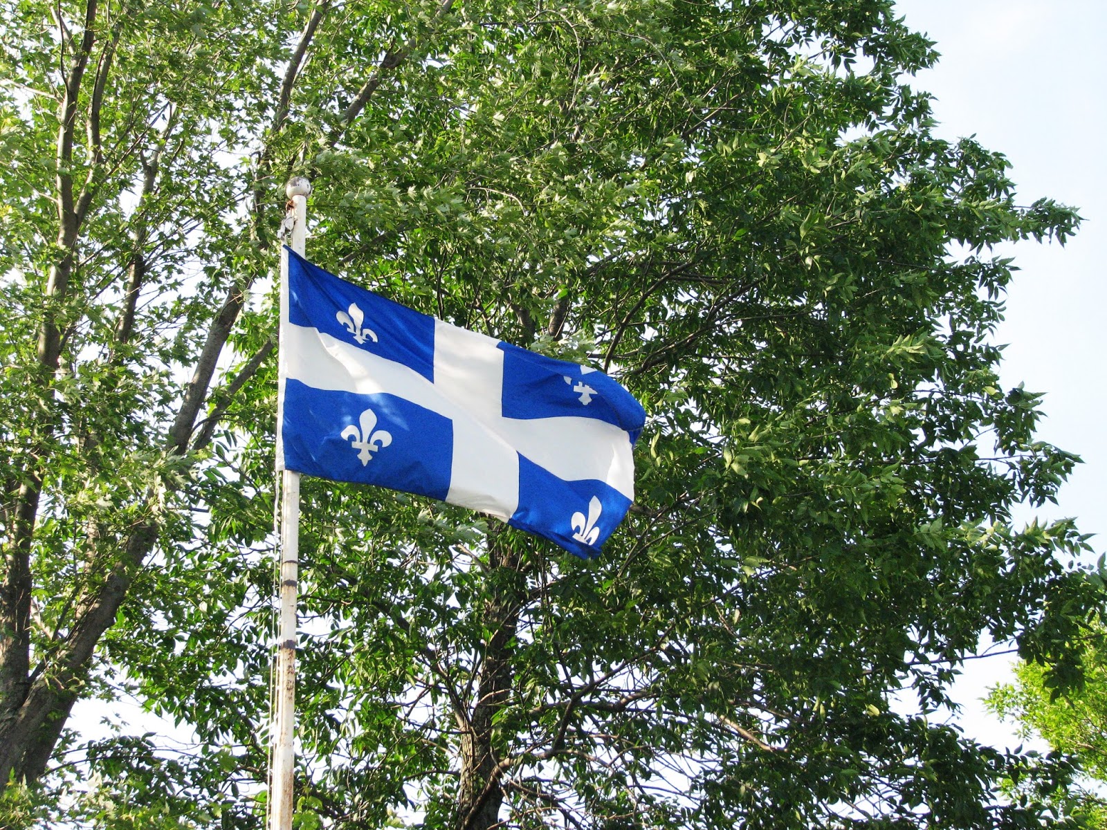 leStudio1.com - 3 archives: QUEBEC NATIONAL DAY - JUNE 24, 2015