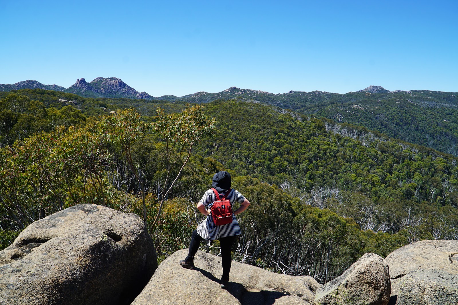 Mt Buffalo Circuit (Mt Buffalo National Park) ~ The Long Way's Better