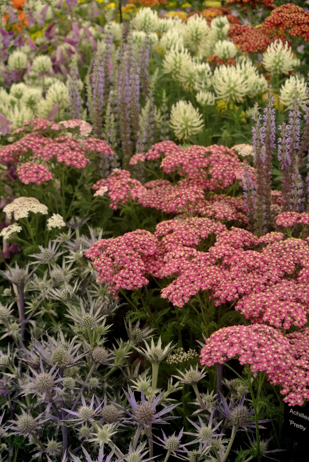 HAVETID: Engelske haver 4. del.