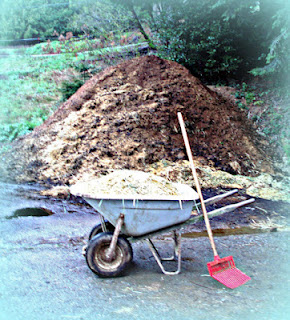 Jackson Hill Horsey Girl: Piles of Zen