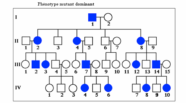 La génétique humaine : Analyse des pédigrees ~ COURS de la pharmacie
