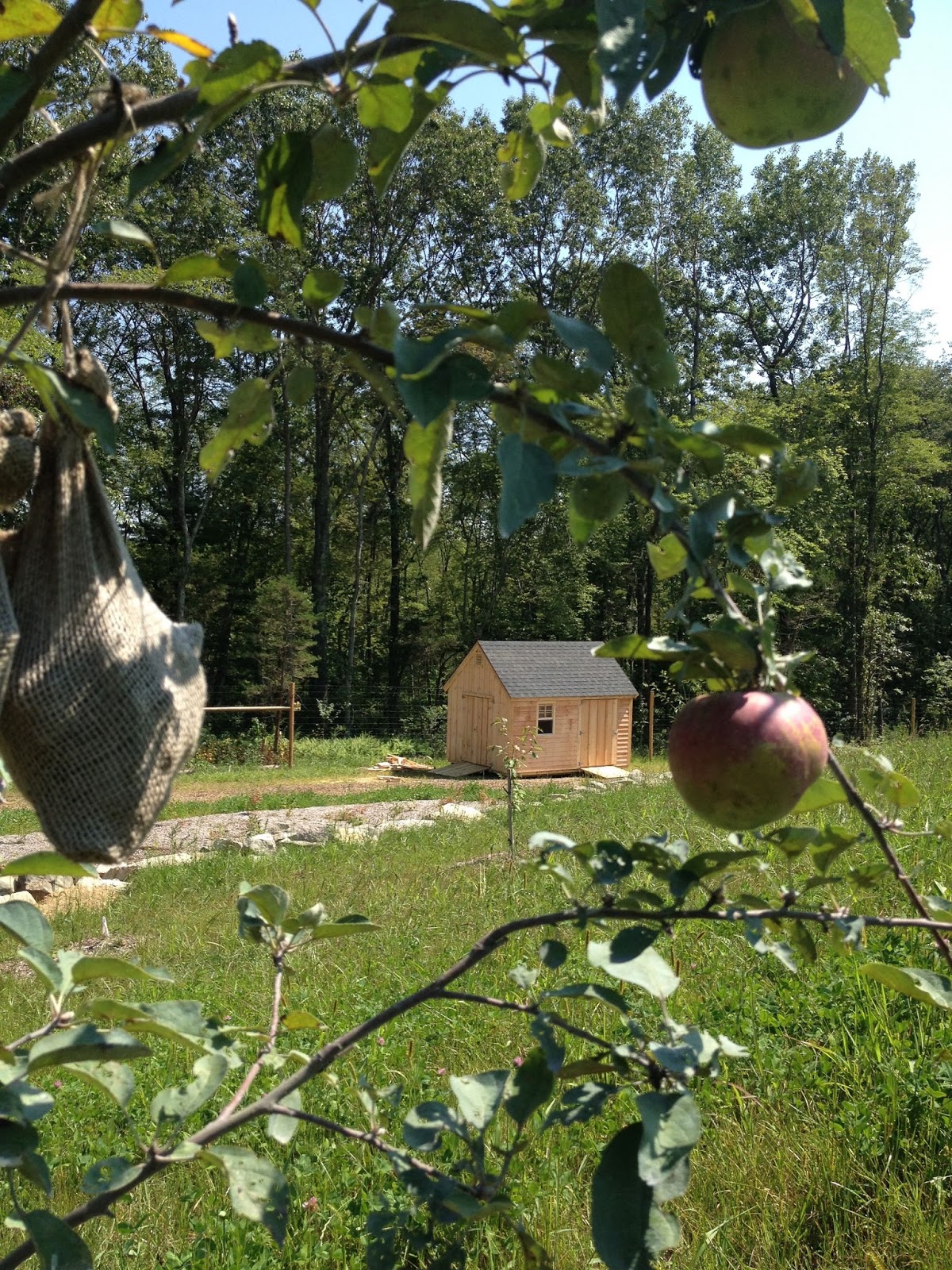 Dispatch from the Digital Health Frontier: Building Unity Farm - The ...