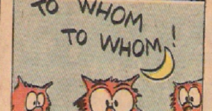 Owls saying TO WHOM!