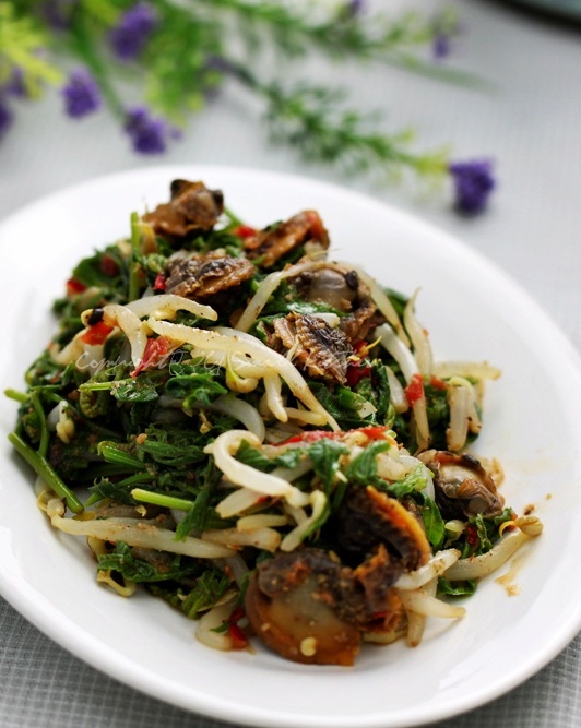 My Small Kitchen: Kerabu Pucuk Paku