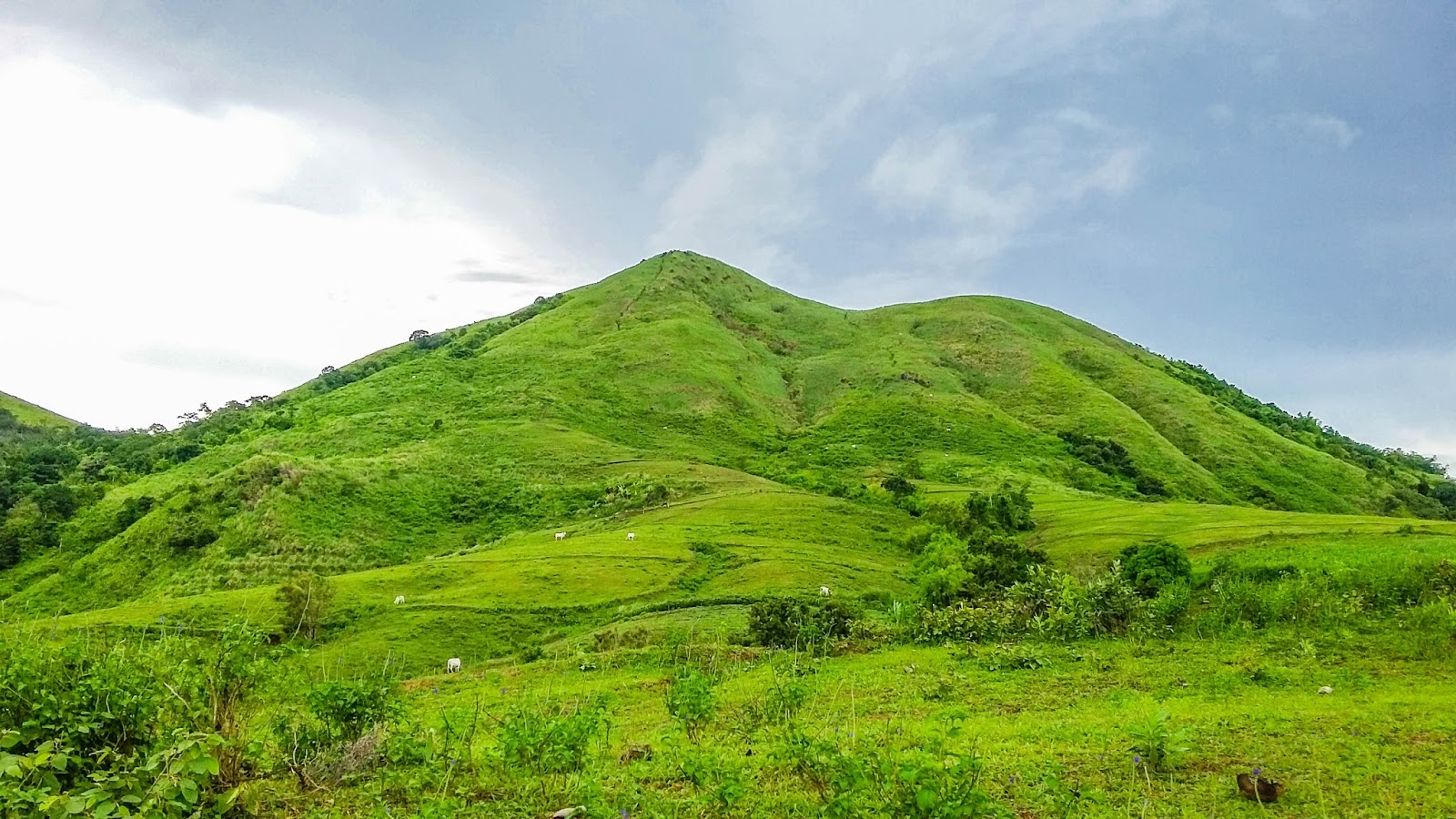 Wandering Den: Solo Hike: Mt. Batulao and Mt. Talamitam