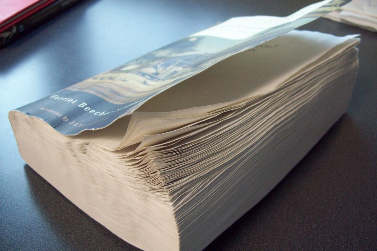 journal illustrations and musings: books