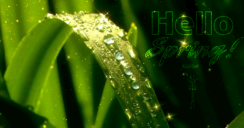 Блог Колибри: Hello Spring!
