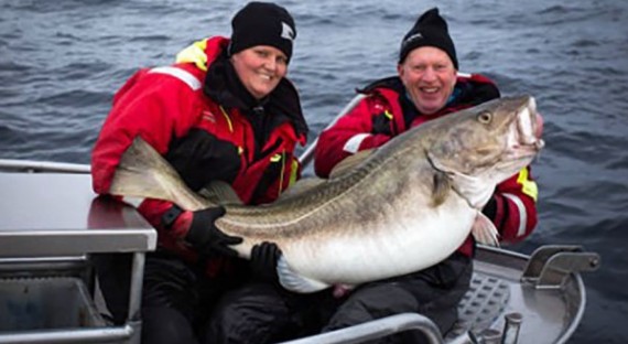 International Fishing News: NORWAY: caught monster 84 lb Atlantic cod
