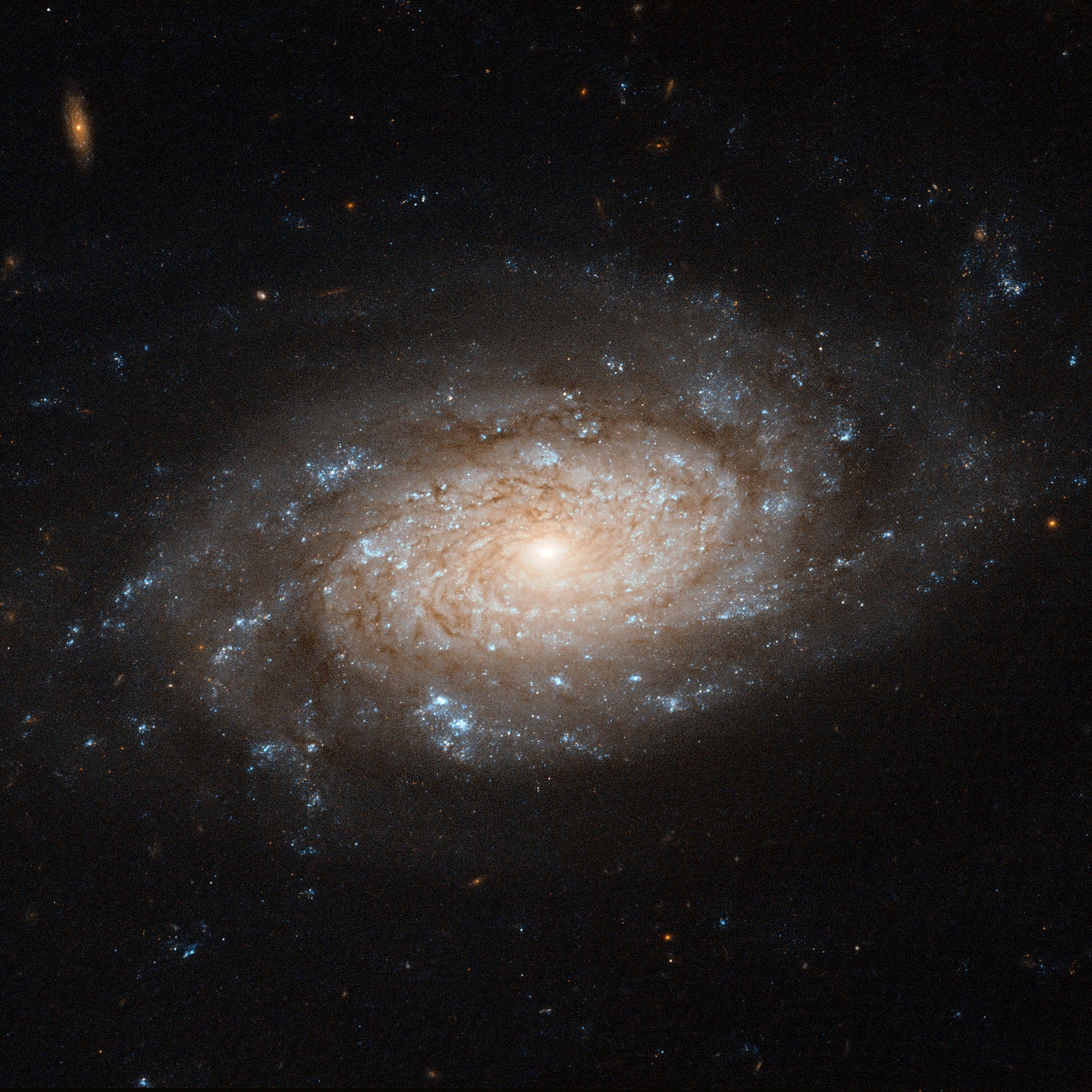 Jean-Baptiste Faure: Barred Spiral Galaxy NGC 3259 spotted by Hubble