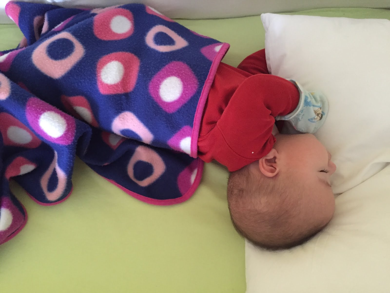 A day in the life of Scotch: 反り返りここちゃん warping Coco-chan