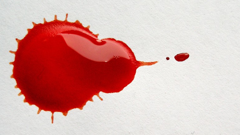 Vermiglio: Step 23- Un colore "selvaggio"