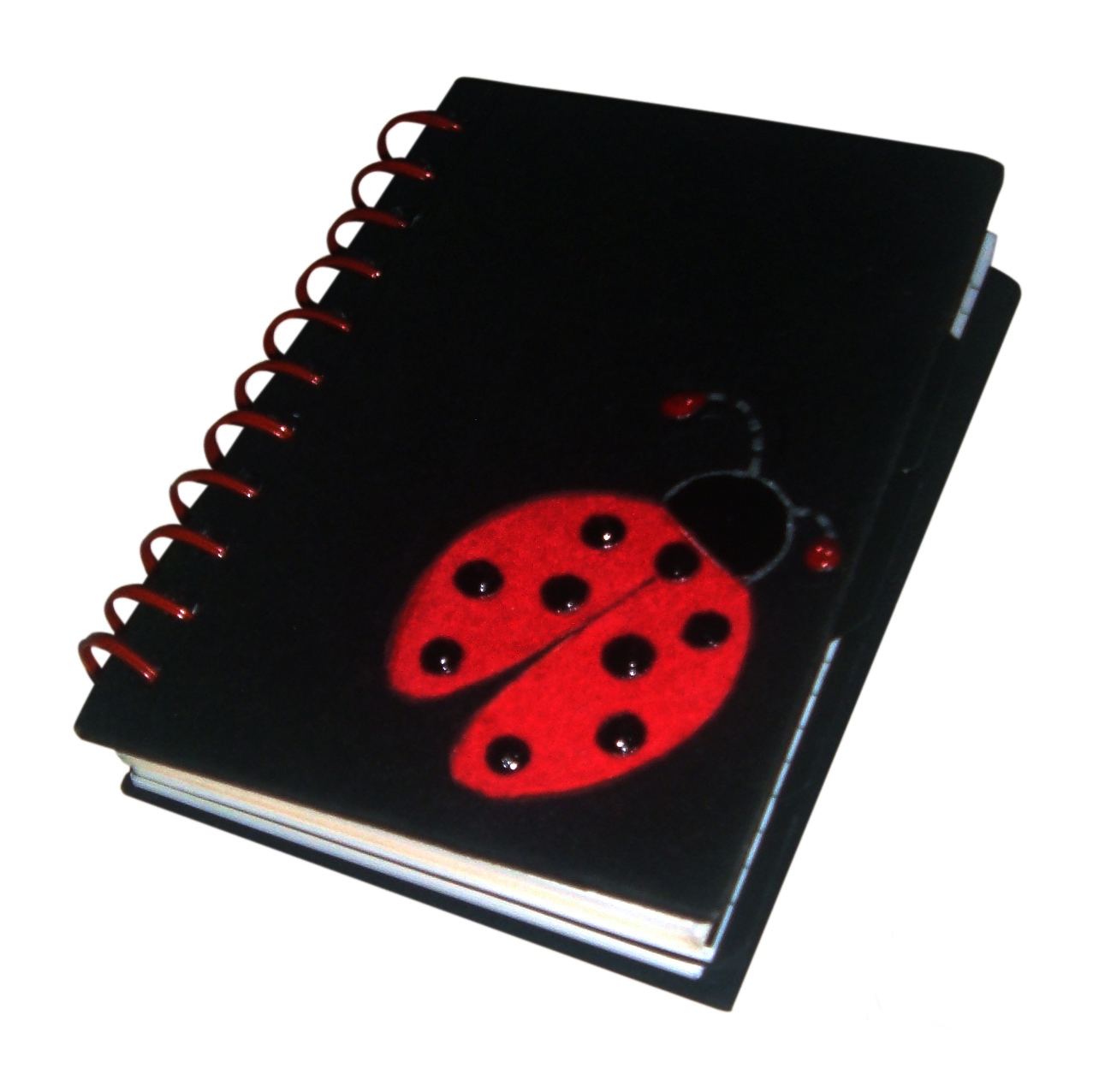 my ladybug collection: Ladybug notebook