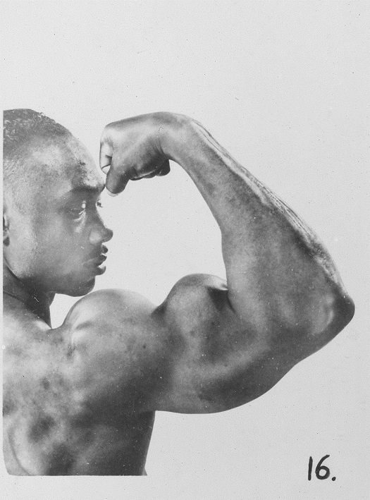 The Tight Tan Slacks of Dezso Ban: Every-Day Delts - Michael Berg (2016)