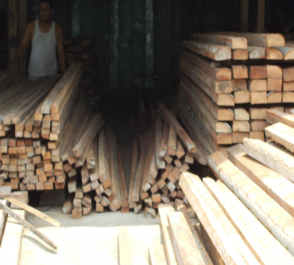 Jual Kayu Glugu | Jual Kayu Kelapa | Kayu Kalimantan: Jual Kayu Kelapa ...